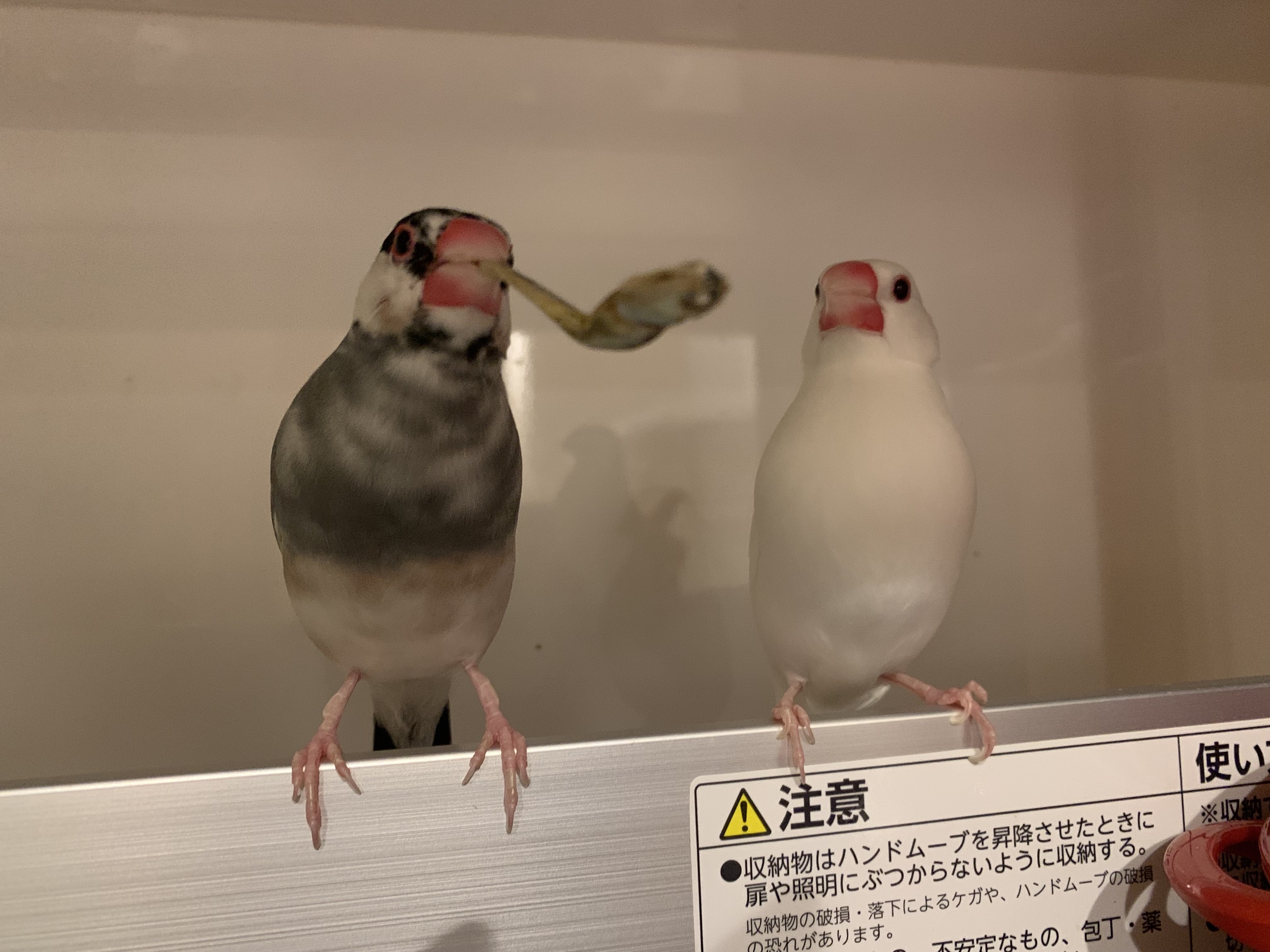 はじめまして！ | アクセル・プレス | 株式会社アクセル・モード